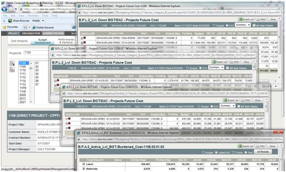 Access Budget Reports