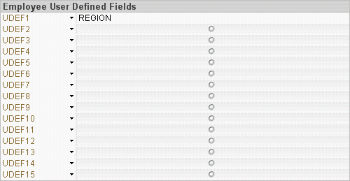 Employee User-Defined Fields (Employee Analytics)